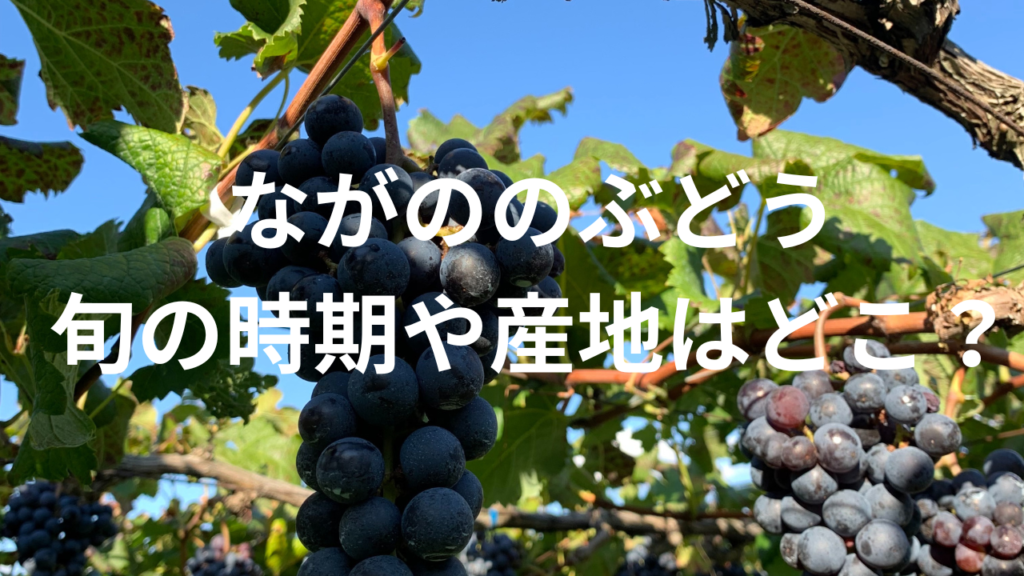 ながのけん すきなとこ 長野県のおいしい!楽しい!おすすめのお店や遊びスポットをご紹介しています。